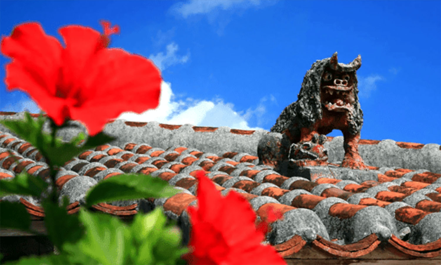 Okinawa Perle du Japon : Plages Turquoise, Culture Ryūkyū et Art de Vivre